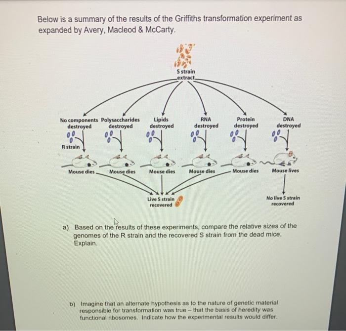 Solved Below is a summary of the results of the Griffiths | Chegg.com
