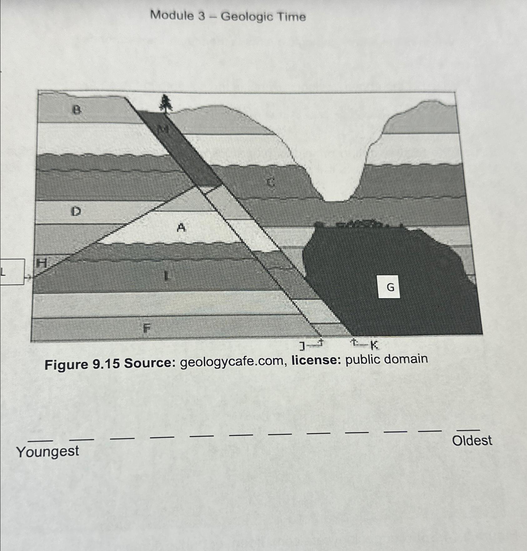 Solved Module 3 - ﻿Geologic TimeFigure 9.15 ﻿Source: | Chegg.com