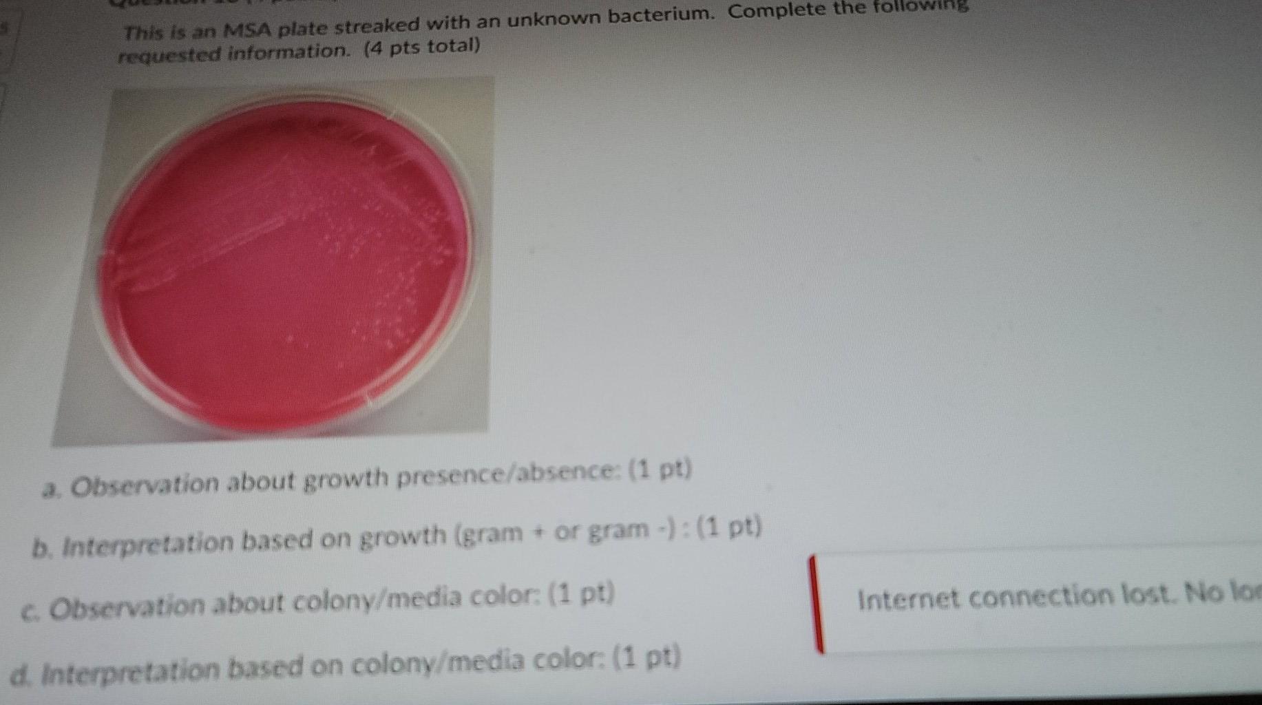 Solved wins This is an MSA plate streaked with an unknown | Chegg.com