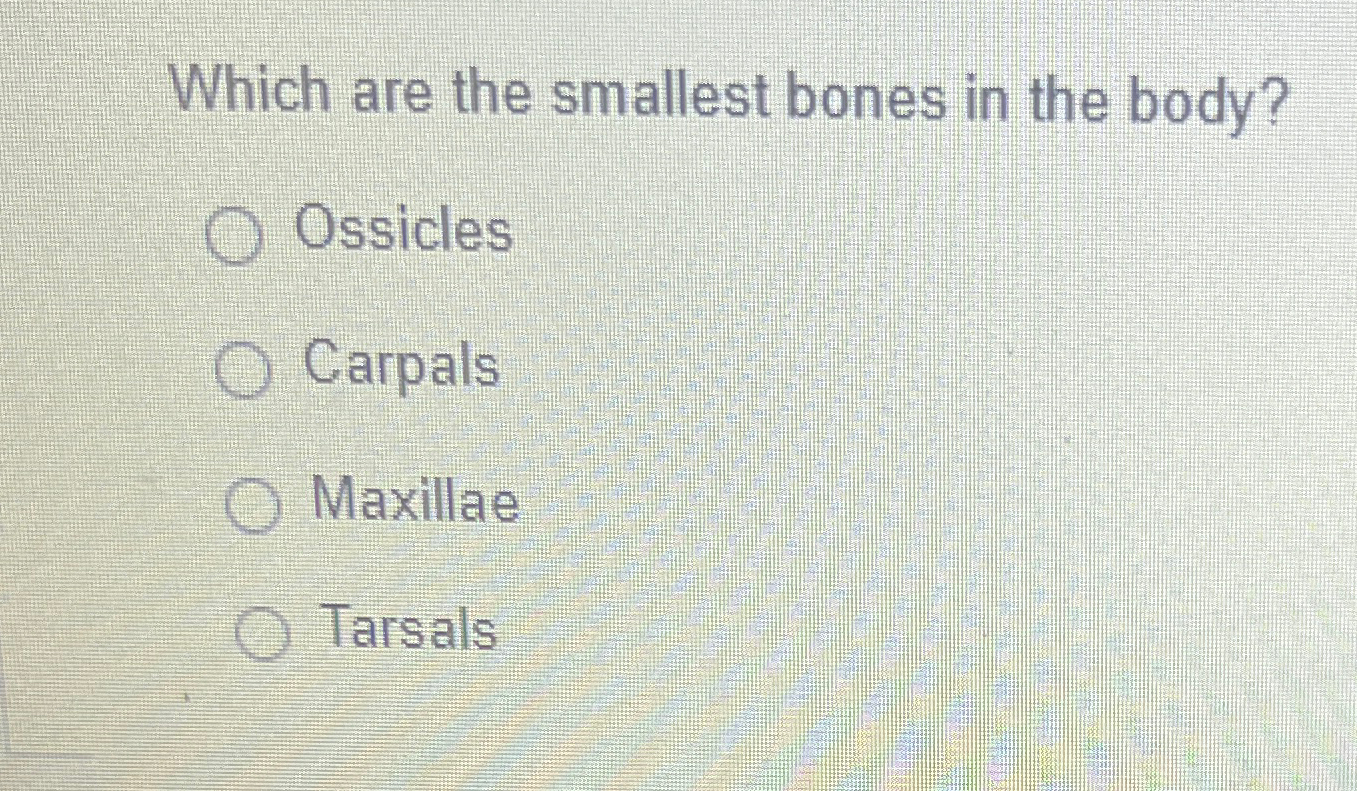 Solved Which are the smallest bones in the | Chegg.com