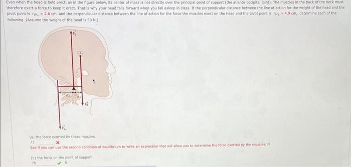 Solved Even when the head is held erect, as in the figure | Chegg.com