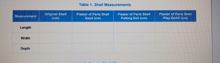 Table 1. Shell Measurements Measurement Original | Chegg.com