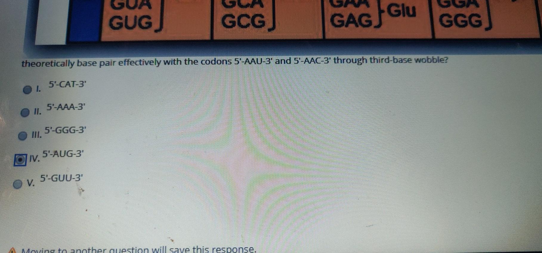 Solved GUG GCG GAGGlu GGG theoretically base pair | Chegg.com