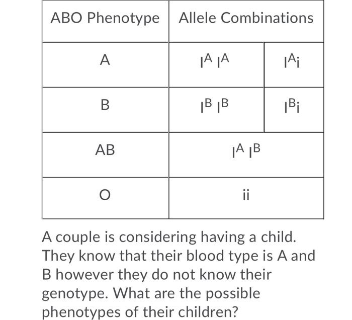 Solved ABO Phenotype Allele Combinations A А ТА IA; B BIB Bi | Chegg.com