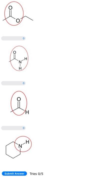 Solved Identify each functional group circled on the | Chegg.com