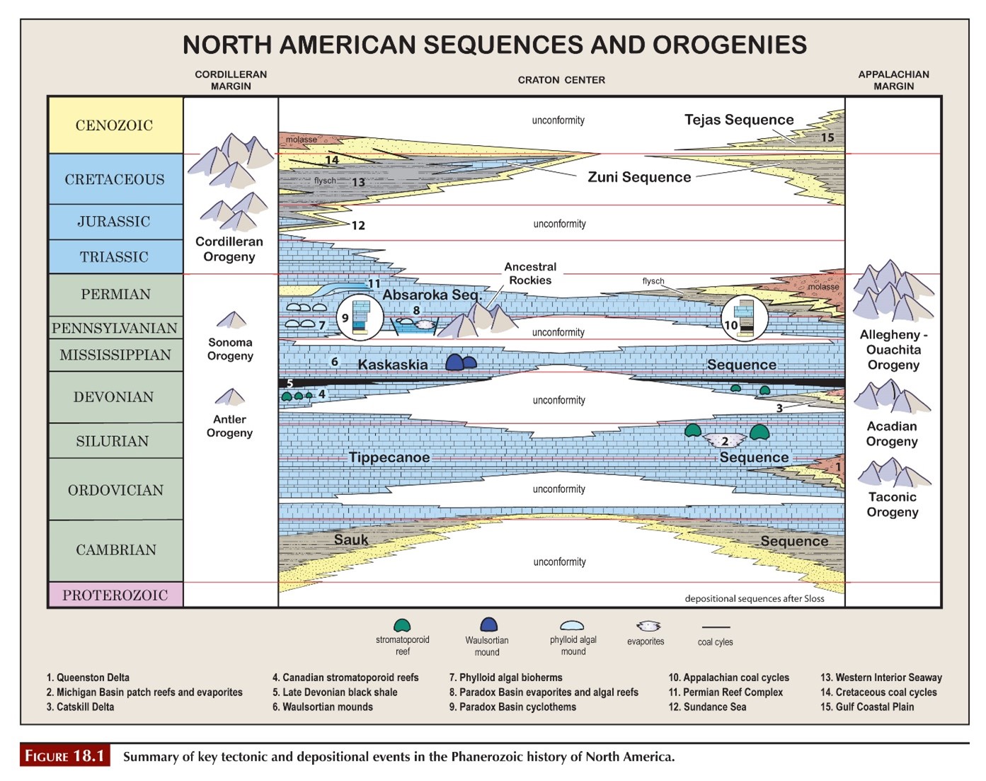Solved What is the plate tectonic explanation for the | Chegg.com