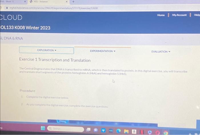 Solved RNA-Week 13 CLOUD OL133 K008 Winter 2023 SL DNA & RNA | Chegg.com