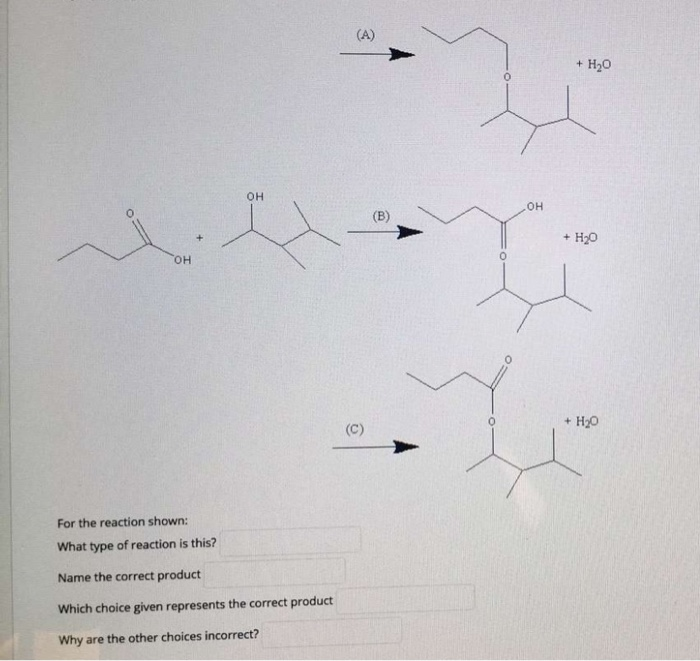 Solved + H2O + H20 + H2O (C) For the reaction shown: What | Chegg.com