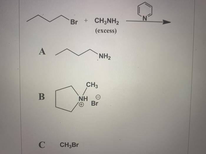 Solved 'N Br + CH3NH2 (excess) Α. NH2 CH3 B NH o Br C CH3Br | Chegg.com