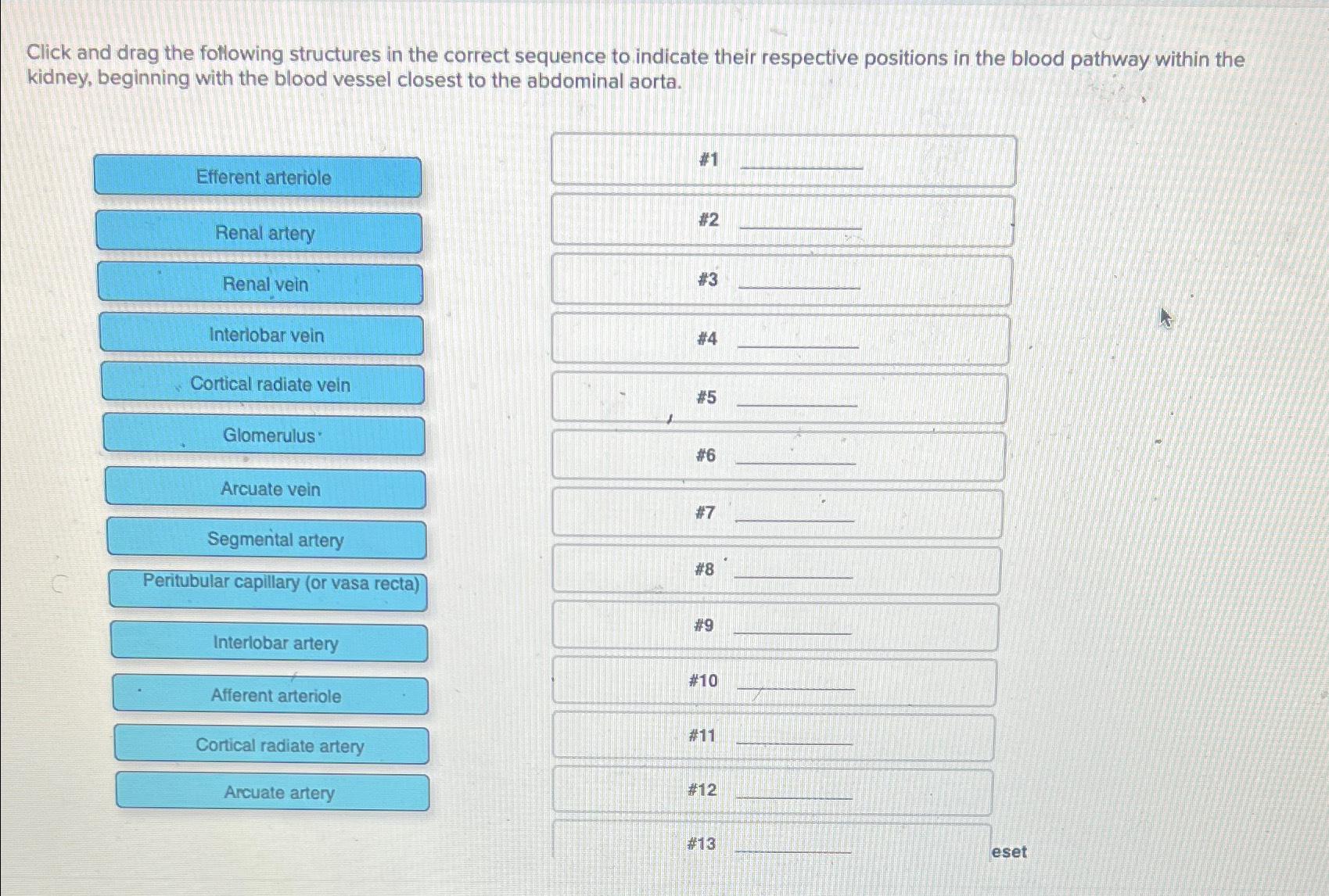 Solved Click and drag the following structures in the | Chegg.com