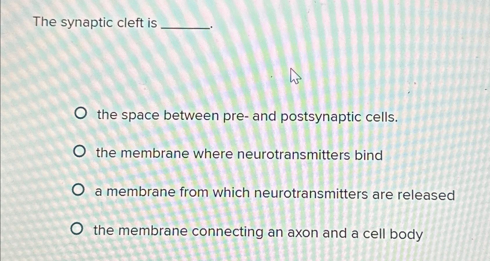 Solved The synaptic cleft isthe space between pre- ﻿and | Chegg.com