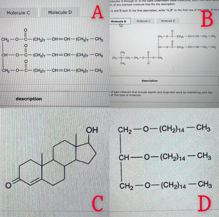 Take a look at example molecules A-D. In the table | Chegg.com
