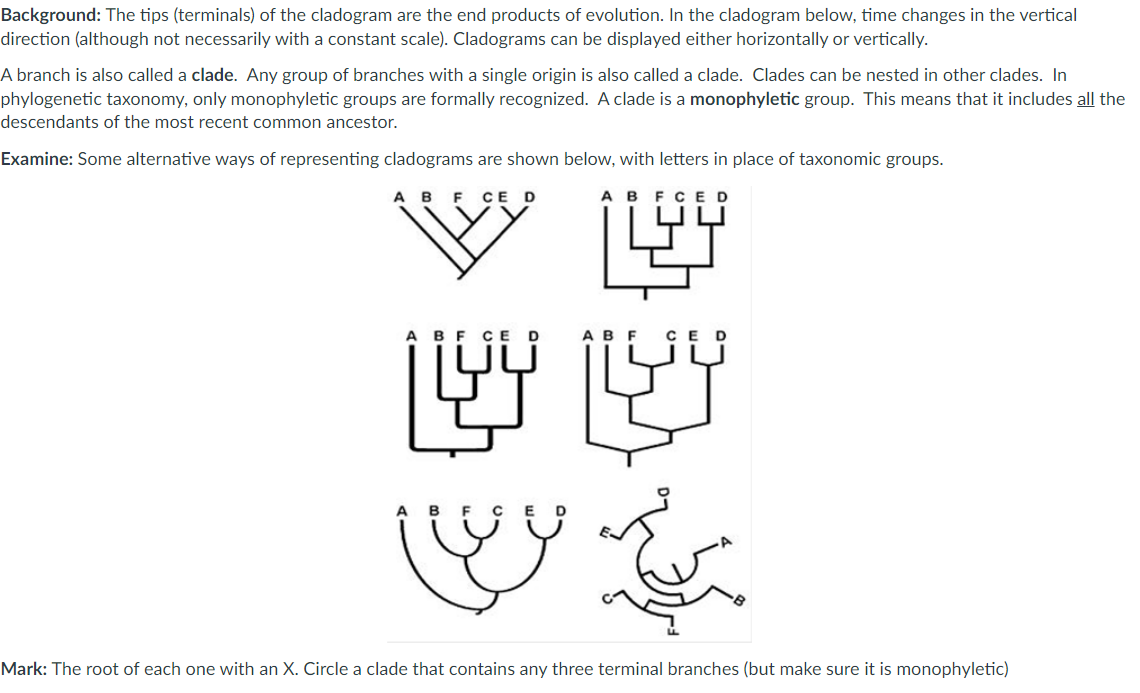 Solved Background: The tips (terminals) ﻿of the cladogram | Chegg.com