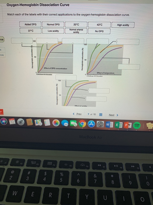 Solved Oxygen-Hemoglobin Dissociation Curve Match each of | Chegg.com