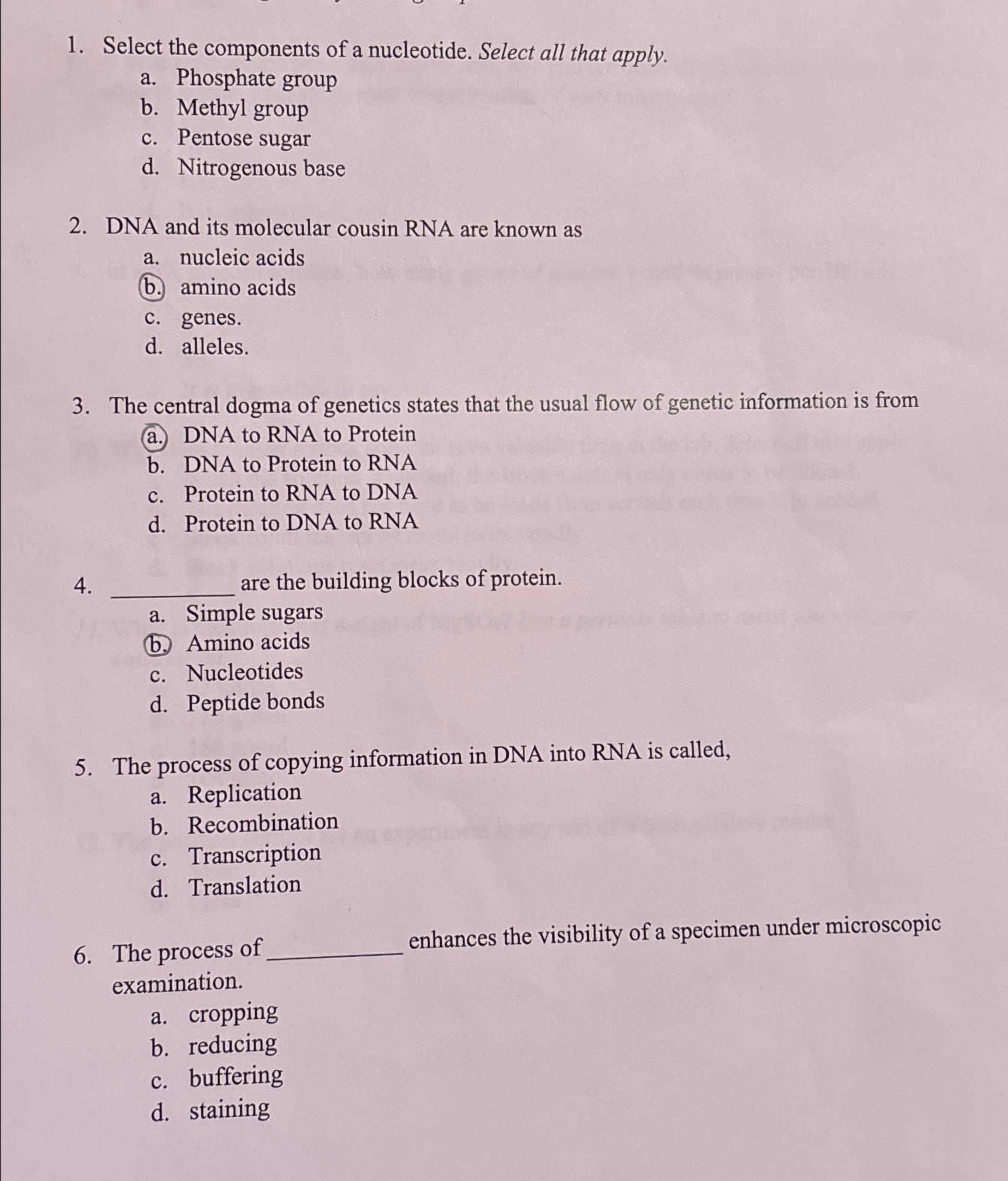 Solved Select the components of a nucleotide. Select all | Chegg.com