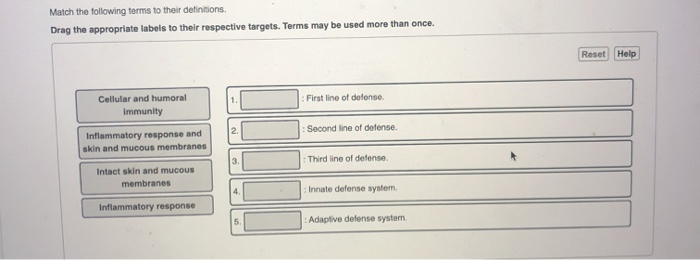 Solved Match the following terms to their definitions. Drag | Chegg.com