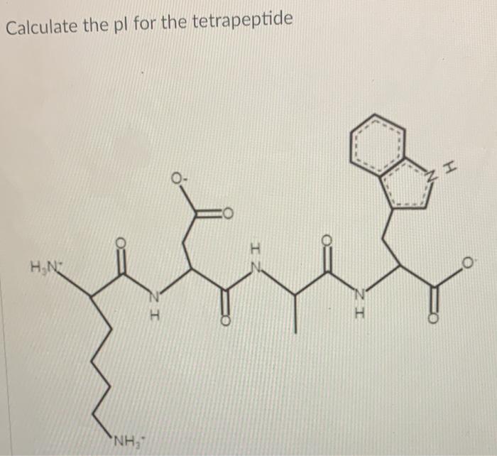 Solved Calculate the pl for the tetrapeptide I HAN H Н H NH, | Chegg.com