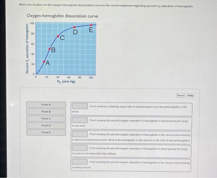 Solved Match the location on the oxygenhemoglobin | Chegg.com