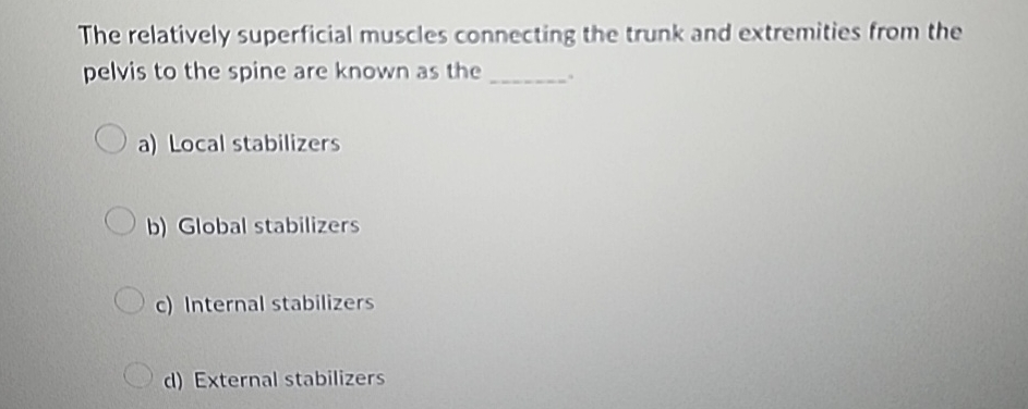 Solved The relatively superficial muscles connecting the | Chegg.com