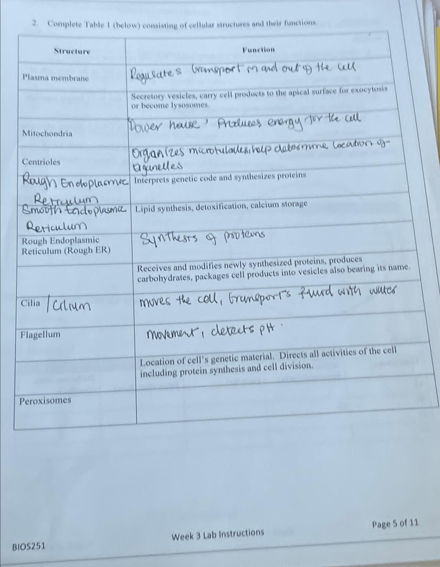 Solved Complete Table I (below) consisting of cellular | Chegg.com