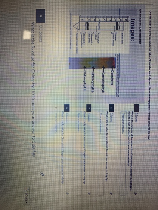 Solved Use the image below to calculate the ratio of fronts | Chegg.com
