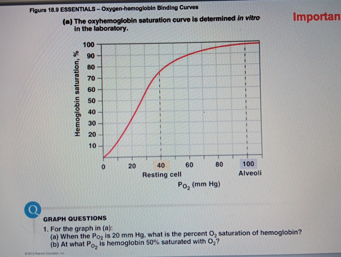 Solved Figure 18.9 ﻿ESSENTIALS - ﻿Oxygen-hemoglobin Binding | Chegg.com