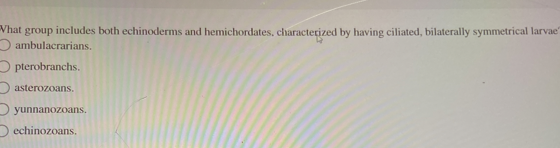 Solved What group includes both echinoderms and | Chegg.com