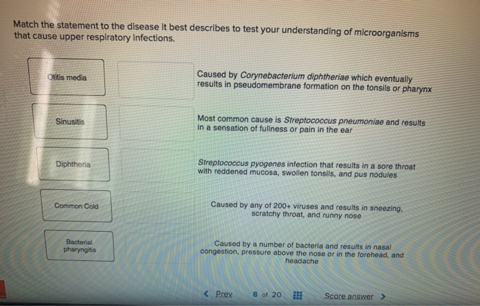 Solved Match the statement to the disease it best describes | Chegg.com