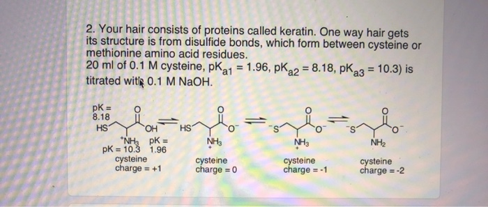 Solved 2. Your hair consists of proteins called keratin. One | Chegg.com