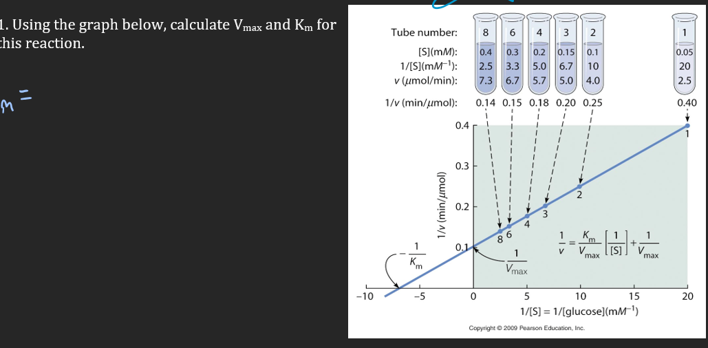 Solved Using the graph below, calculate Vmax ﻿and Km | Chegg.com