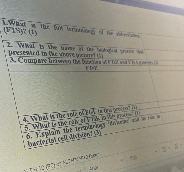 Solved the question is: using this figure as a guide,answer | Chegg.com