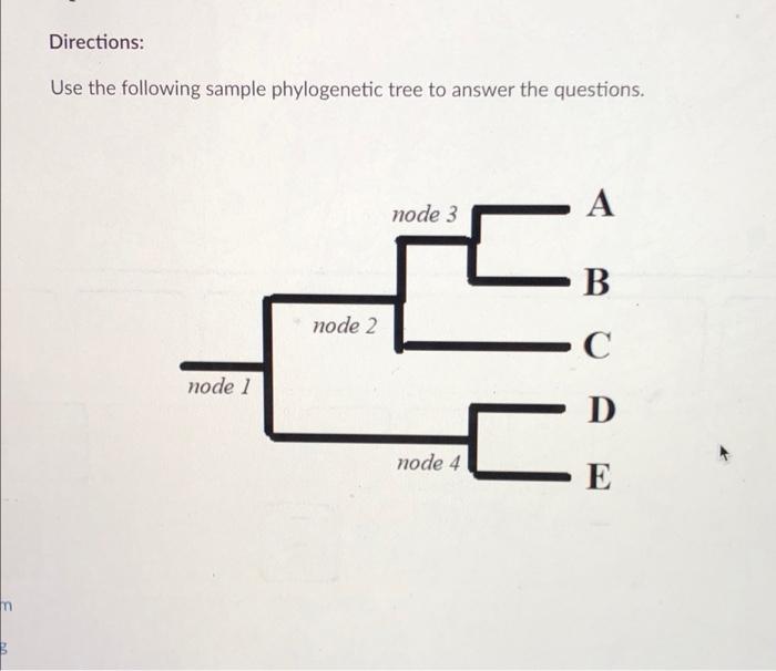 Solved Directions: Use the following sample phylogenetic | Chegg.com