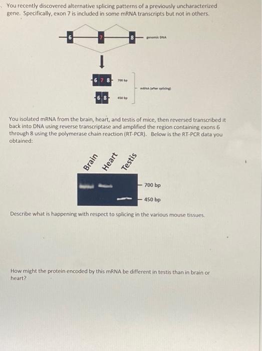 Solved What Is The Function Of The C Terminal Domain Ctd