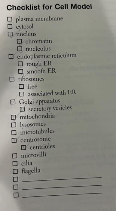 Solved Model: identify the parts of the connective tissue | Chegg.com