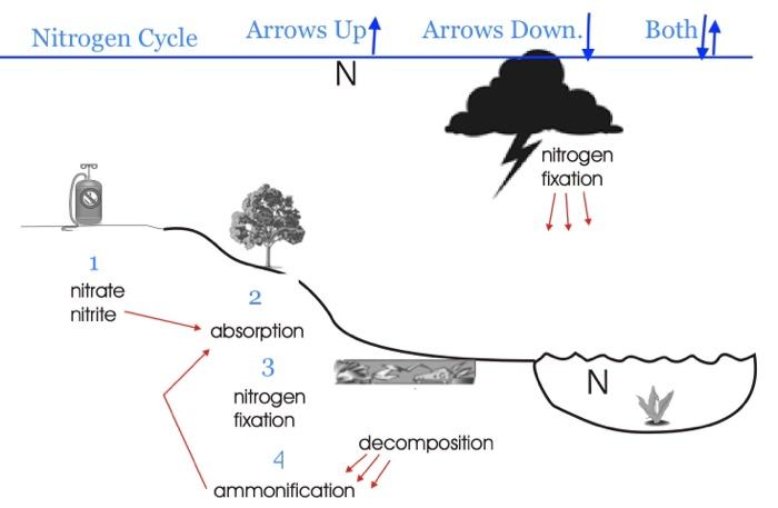 Biotic And Abiotic Cycle