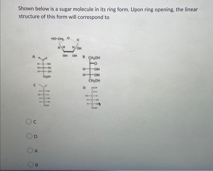 Solved Shown below is a sugar molecule in its ring form. | Chegg.com