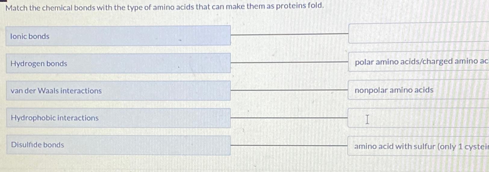 Solved Match the chemical bonds with the type of amino acids | Chegg.com