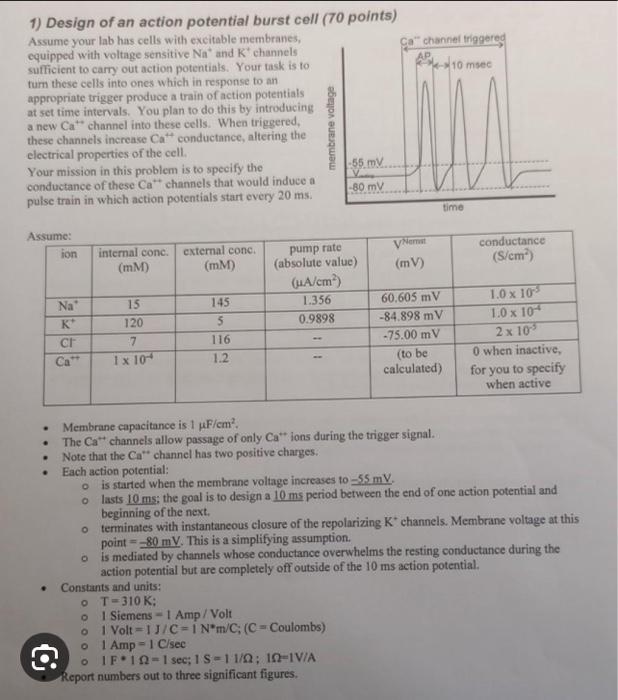 Solved 1) Design of an action potential burst cell (70 | Chegg.com