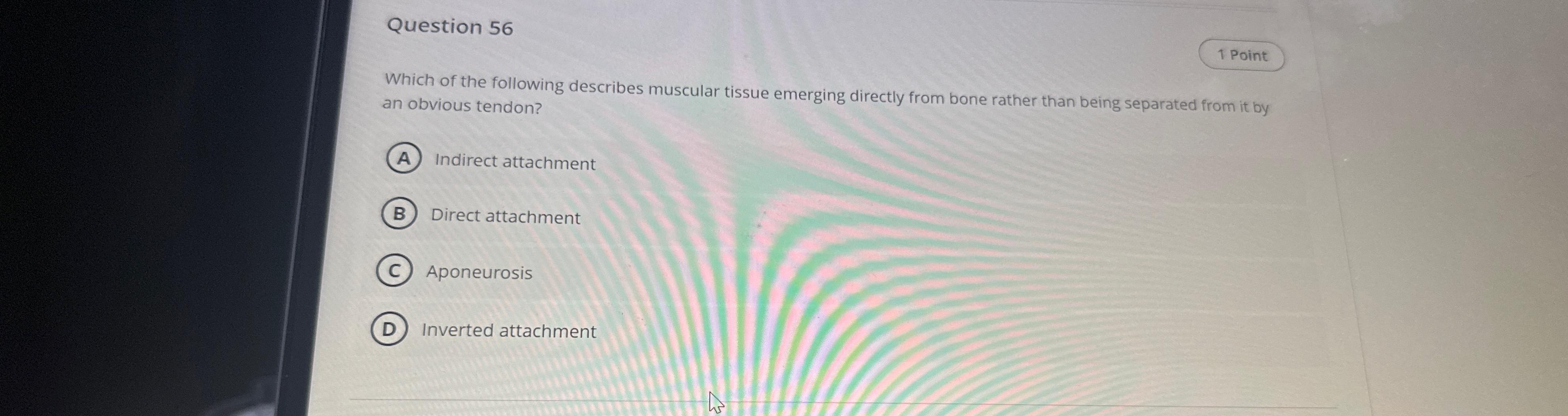 Solved Question 561 ﻿PointWhich of the following describes | Chegg.com