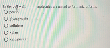 Solved In the cell wall, ?????? ﻿molecules are united to | Chegg.com
