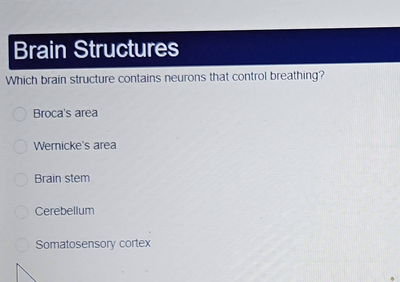 Solved Brain StructuresWhich brain structure contains | Chegg.com