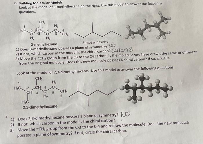Solved B. Building Molecular Models Look at the model of | Chegg.com