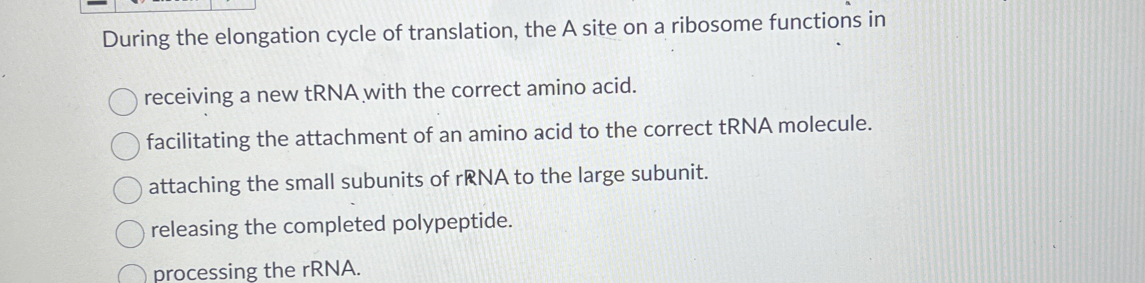 High Quality SOLUTION During the elongation cycle of translation, the A | Chegg.com