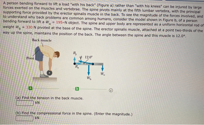 Solved A person bending forward to lift a load with his | Chegg.com