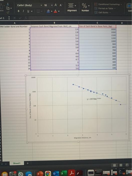 Solved Calibri (Body) 10 • Α' Α' % Conditional Formatting | Chegg.com