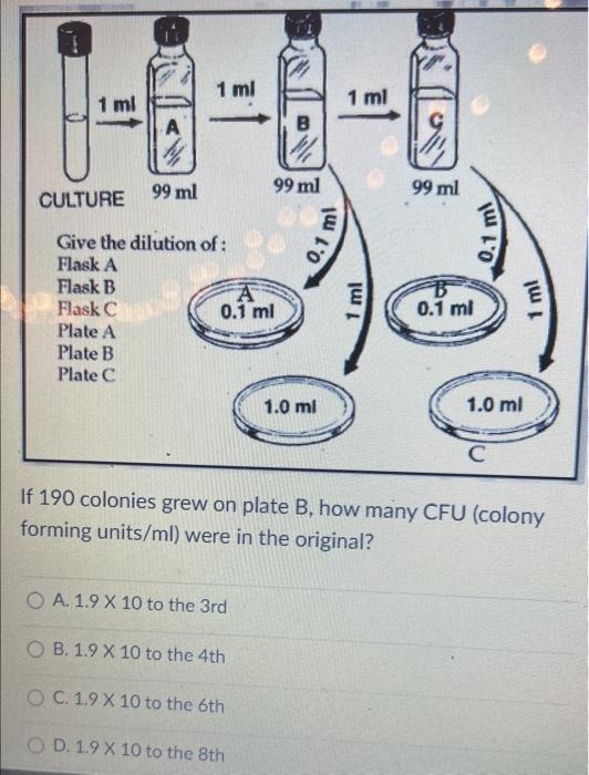 Solved If 190 colonies grew on plate B, how many CFU (colony | Chegg.com