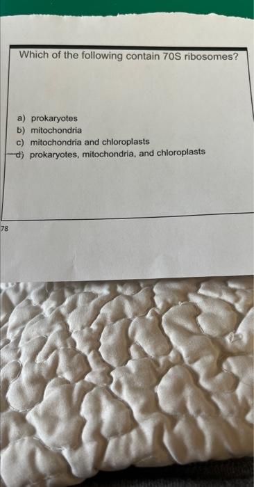 Solved Which of the following contain 70 S ribosomes? a) | Chegg.com