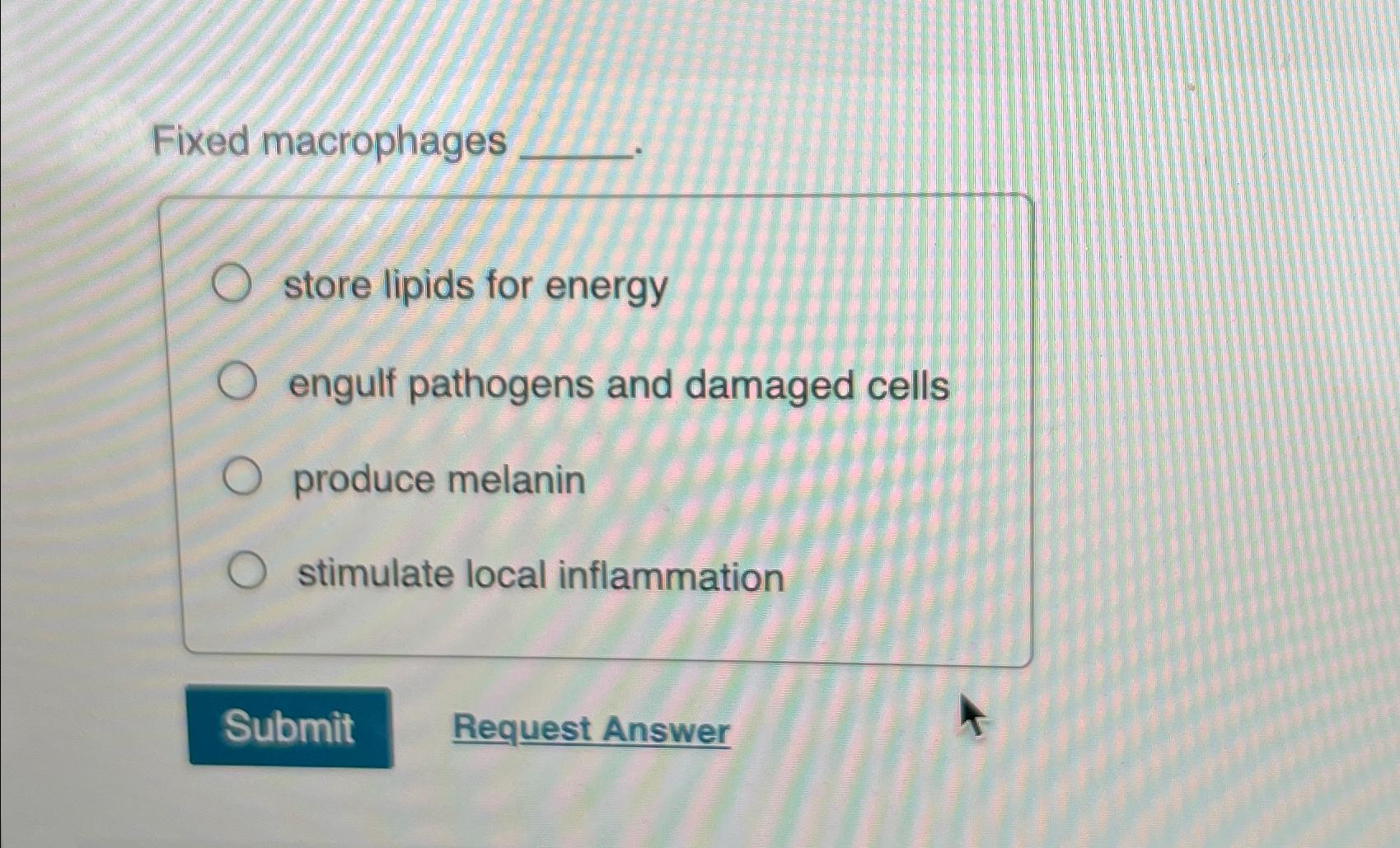 Solved Fixed macrophagesstore lipids for energyengulf | Chegg.com