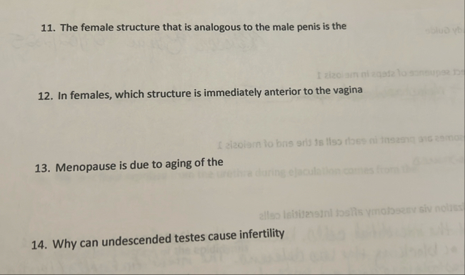 The female structure that is analogous to the male | Chegg.com