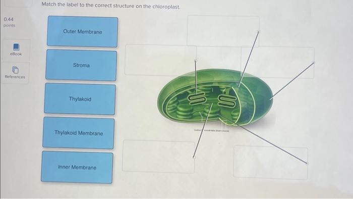 Match The In The Diagram With The Correct Structure Term Sol